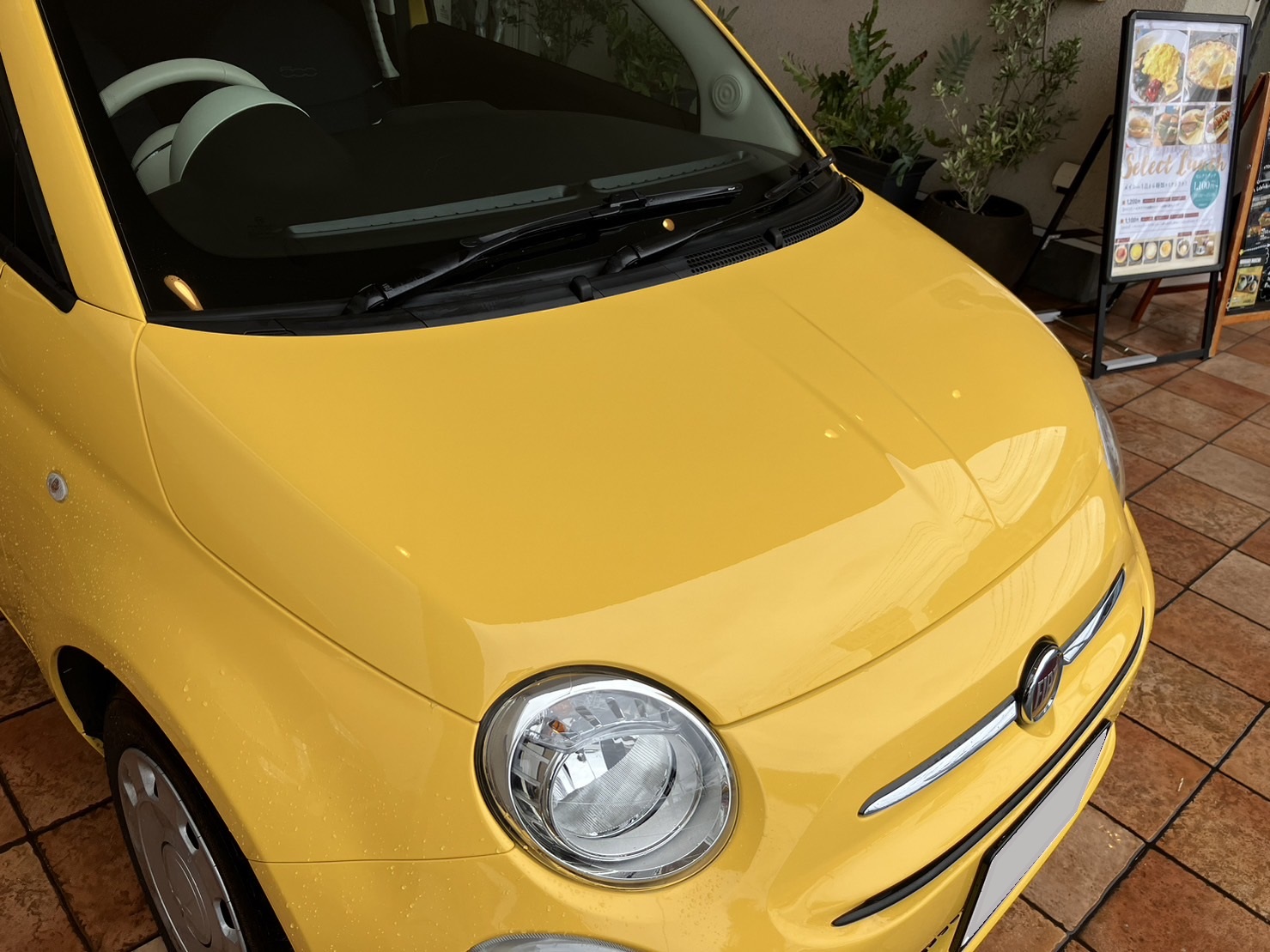 ボンネットにキラリ | BLOG | Car PICCOLO by AUTOSPEC